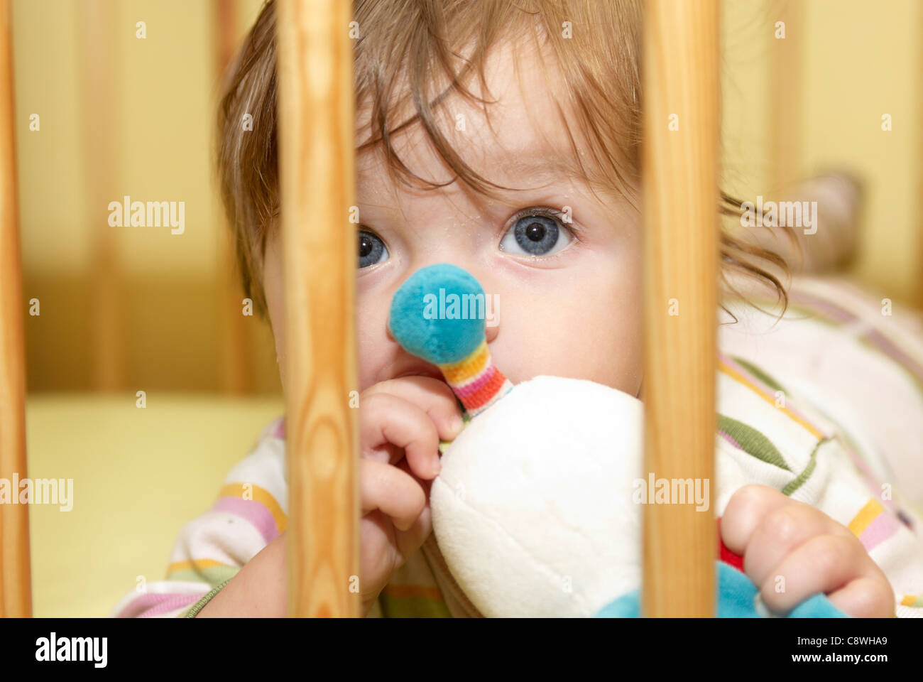 Baby child girl 6-8 months old in crib Stock Photo - Alamy
