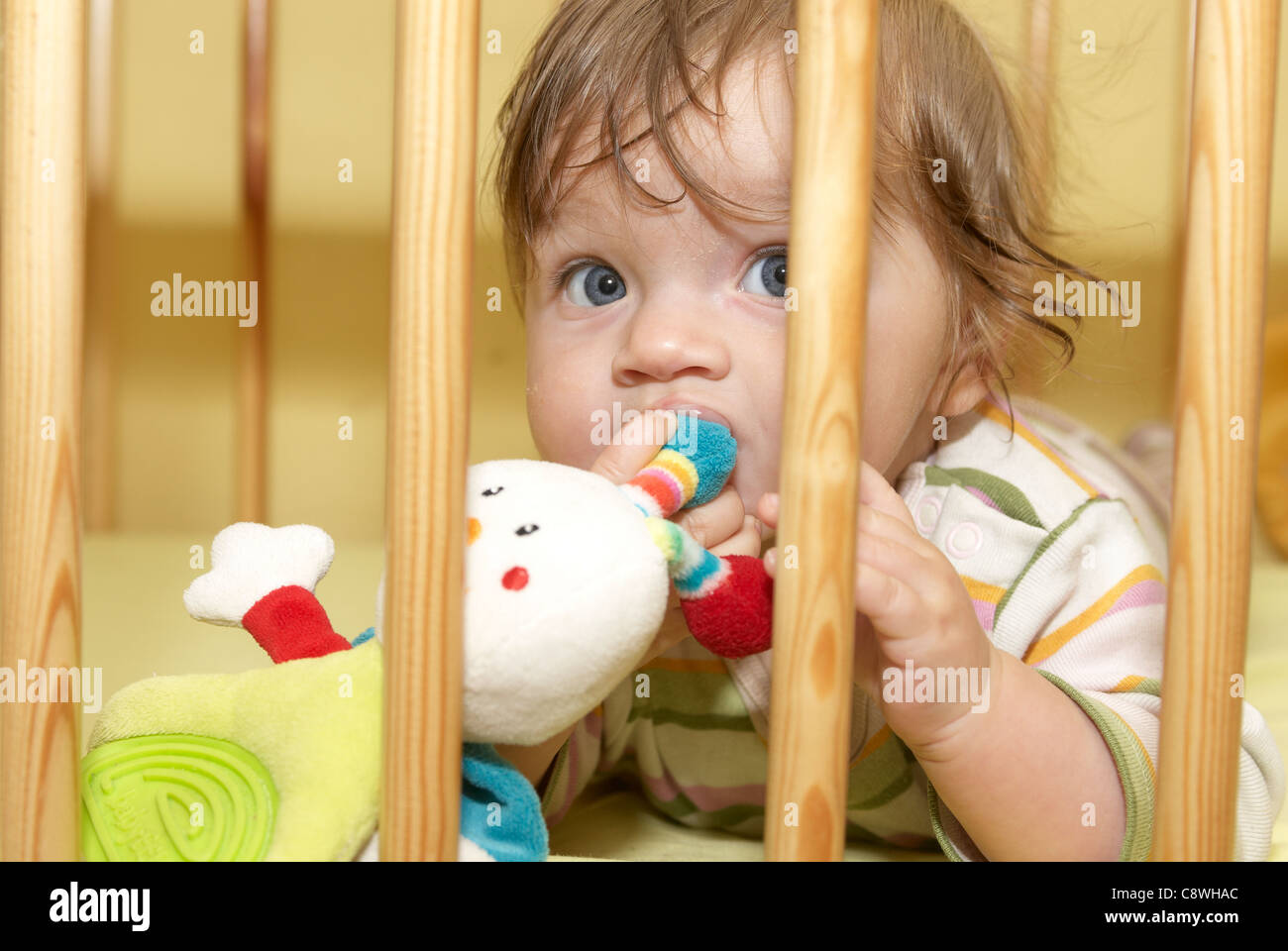 6 8 months old hi-res stock photography and images - Alamy