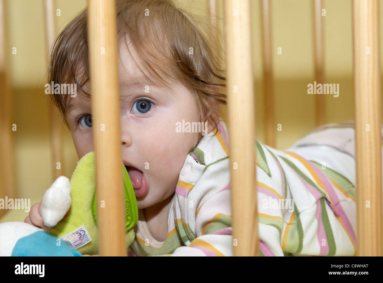 Baby child girl 6-8 months old in crib Stock Photo - Alamy