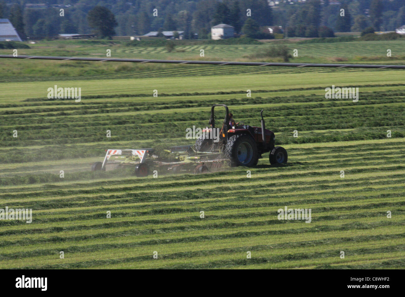 Silaging hi-res stock photography and images - Alamy