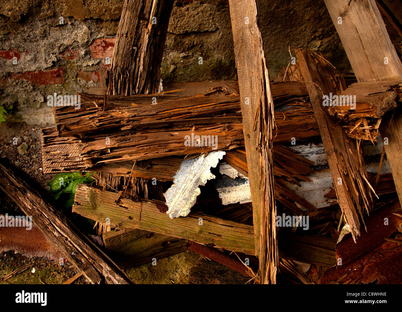 Wood rot on wall hi-res stock photography and images - Alamy