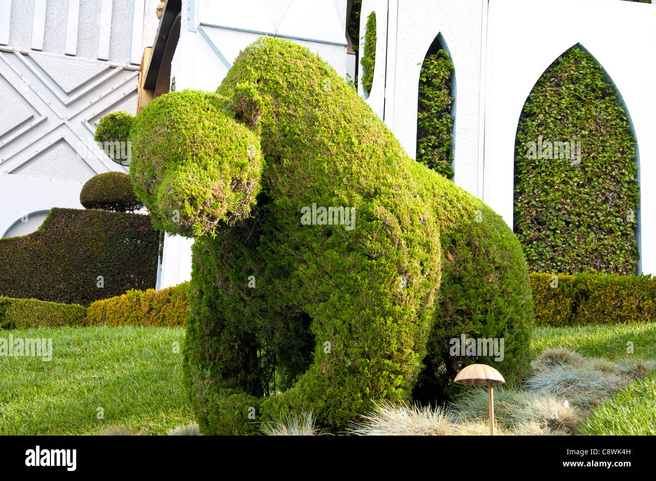 Bush in the shape of animal Stock Photo - Alamy