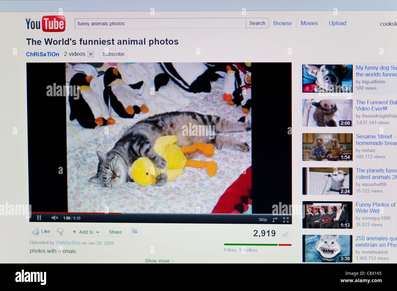 youtube.com funny video screenshot Stock Photo - Alamy