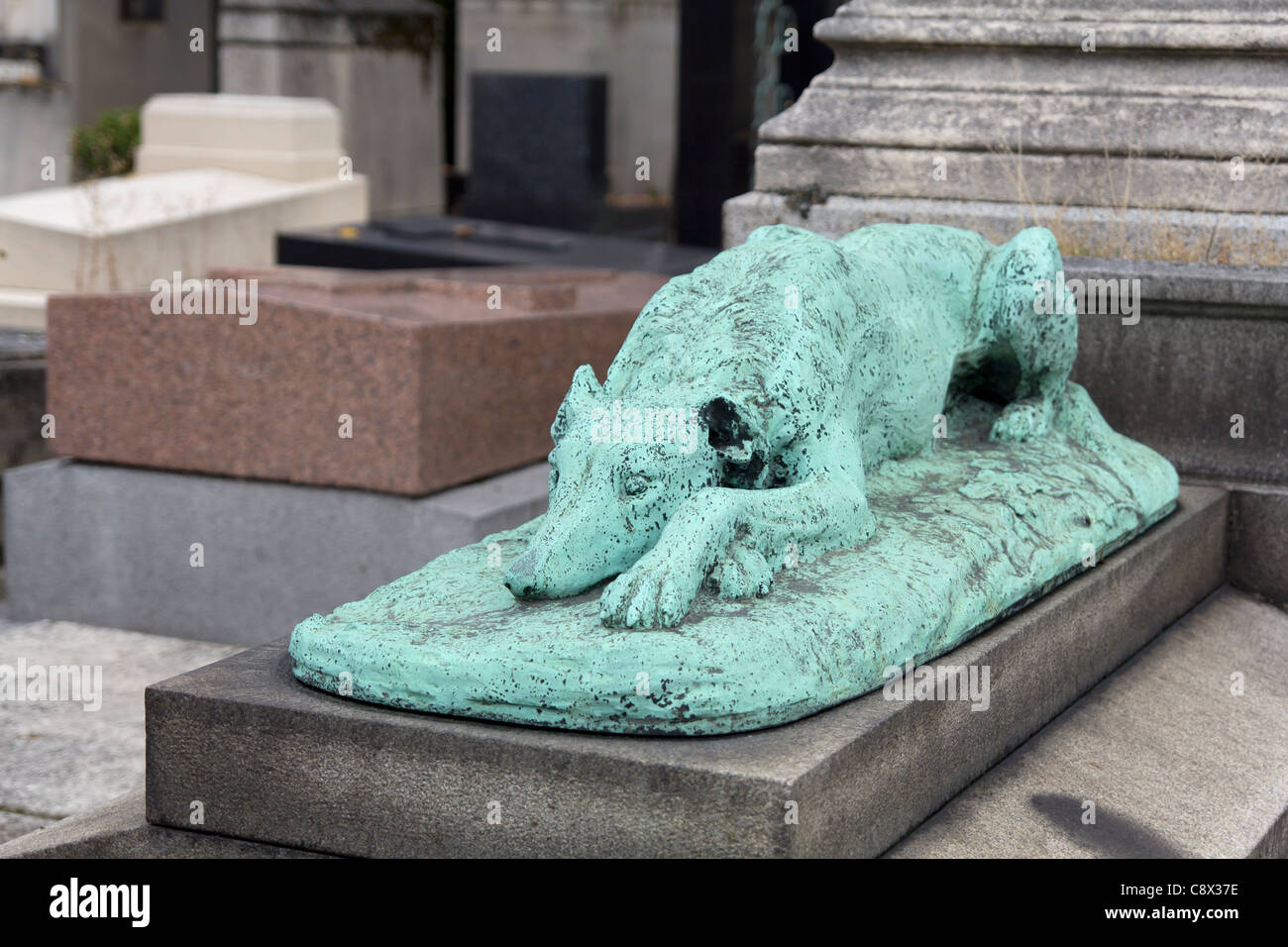 Grave dog death grave gravestone hi-res stock photography and images ...