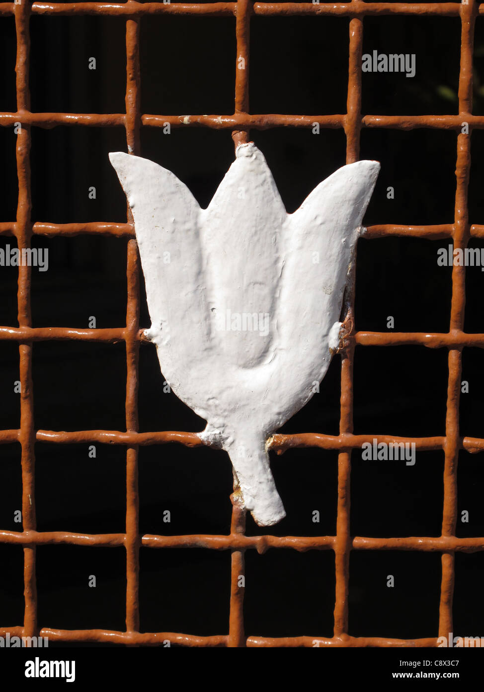 Flower and wire hi-res stock photography and images - Alamy