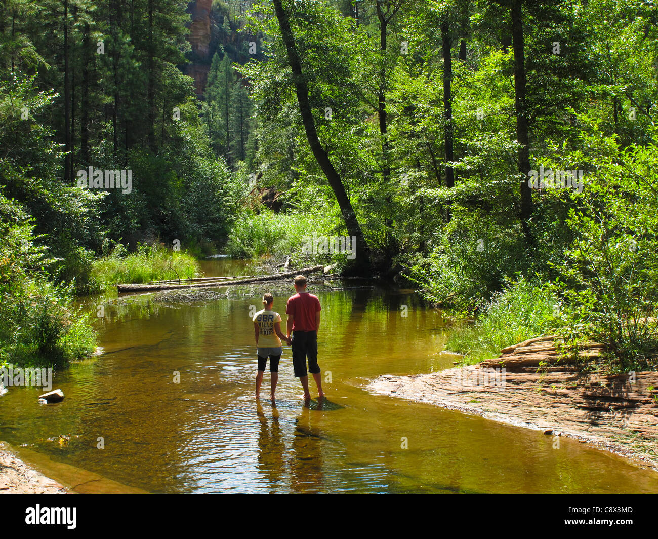 Stream with crystal clear water hi-res stock photography and images - Alamy