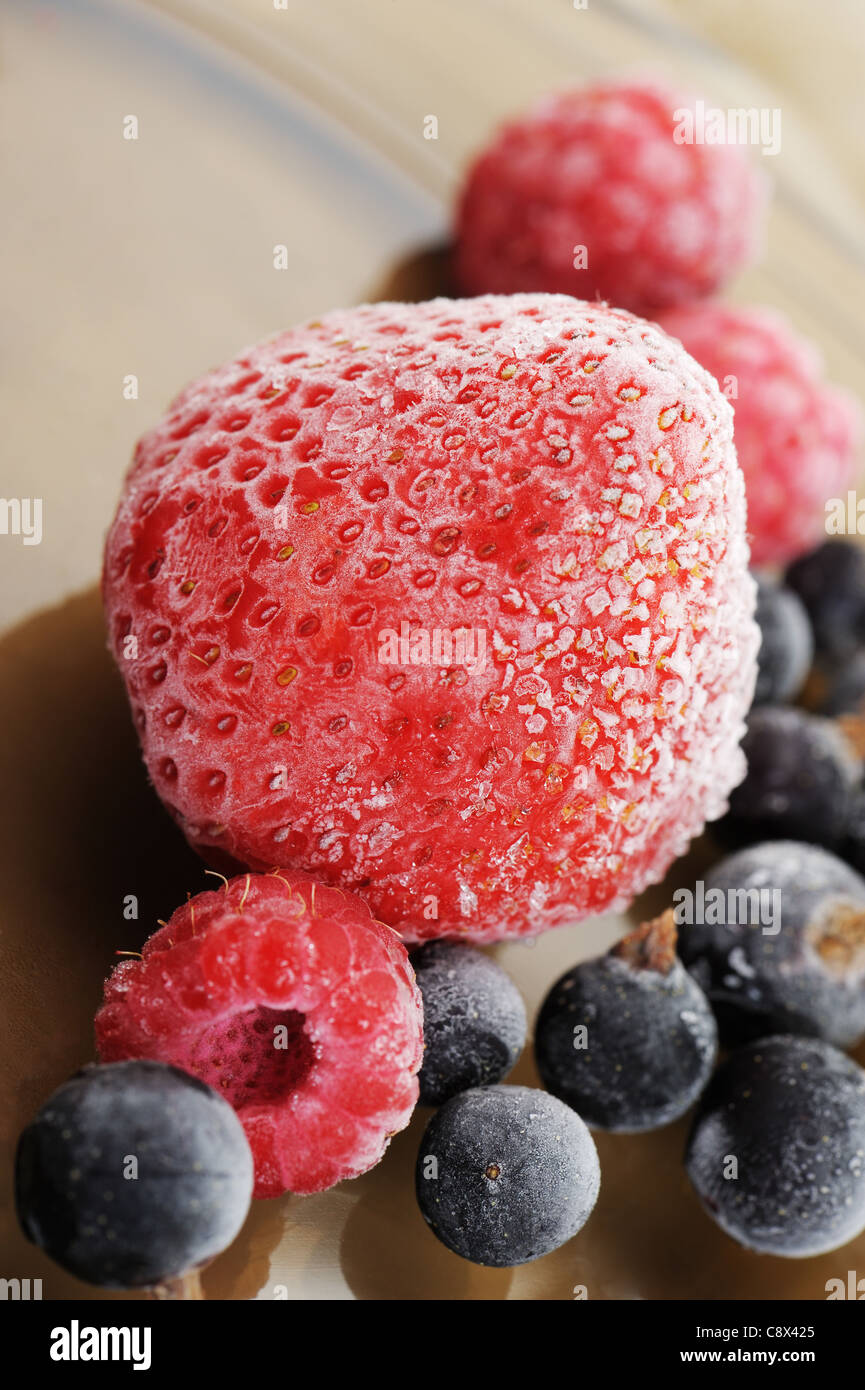 Frozen huckleberry hi-res stock photography and images - Alamy