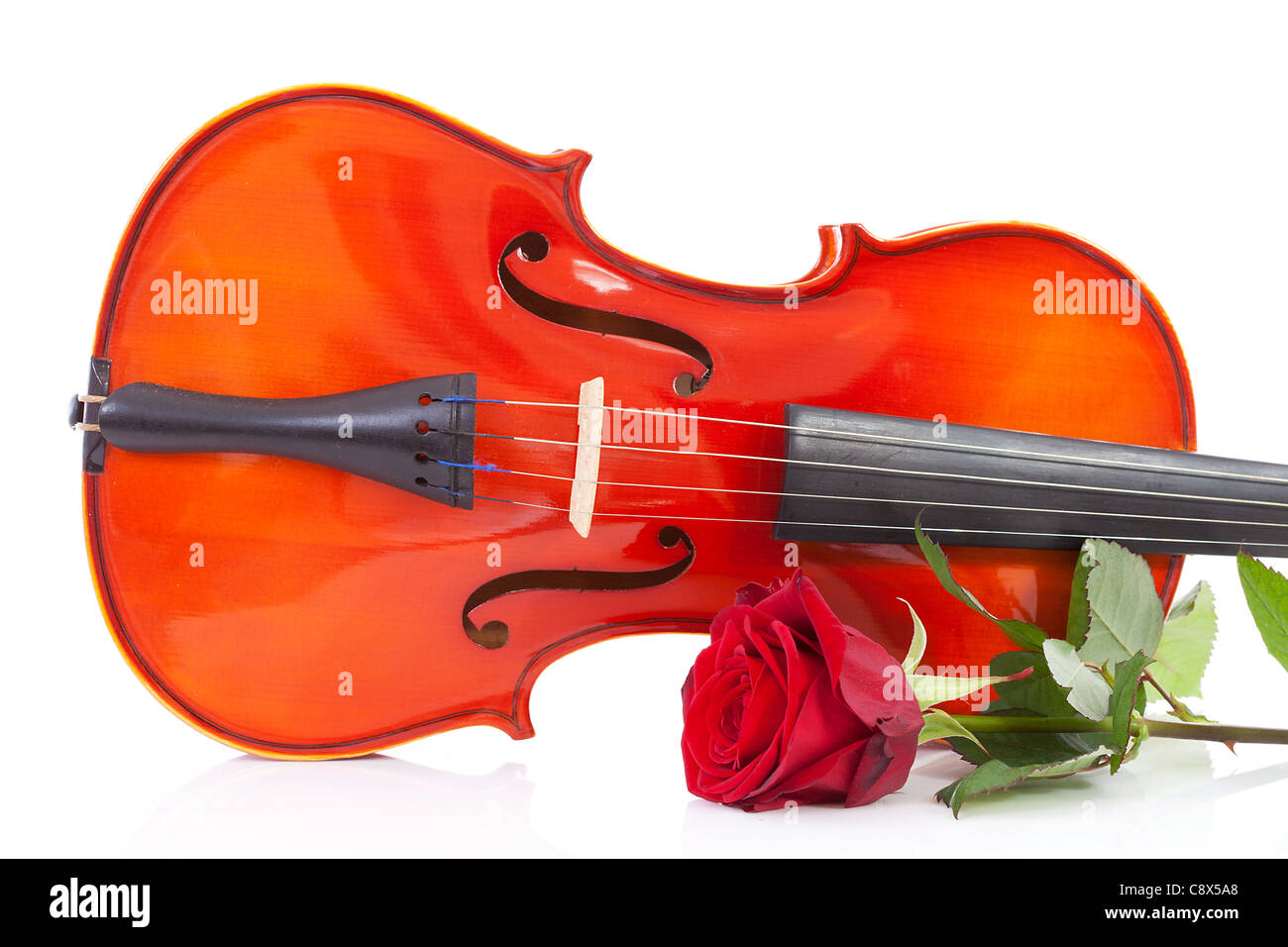 Violin and rose in closeup over white background Stock Photo - Alamy