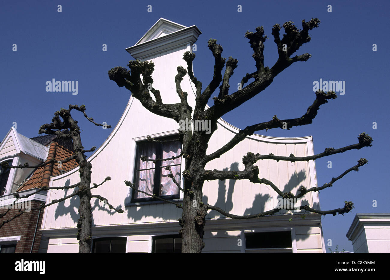 Dutch house. Netherlands Stock Photo - Alamy