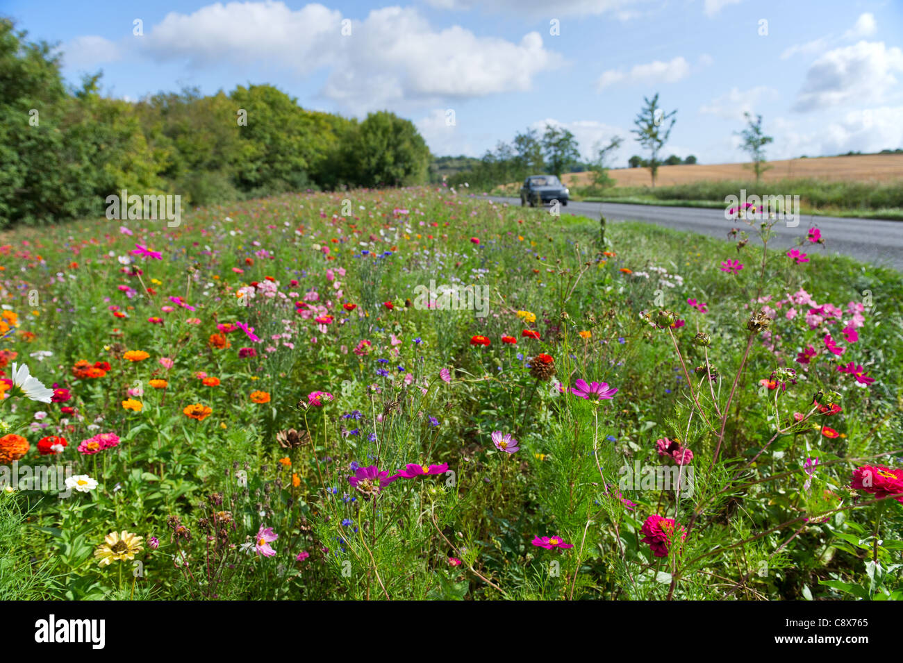 Flowers along road side hi-res stock photography and images - Alamy