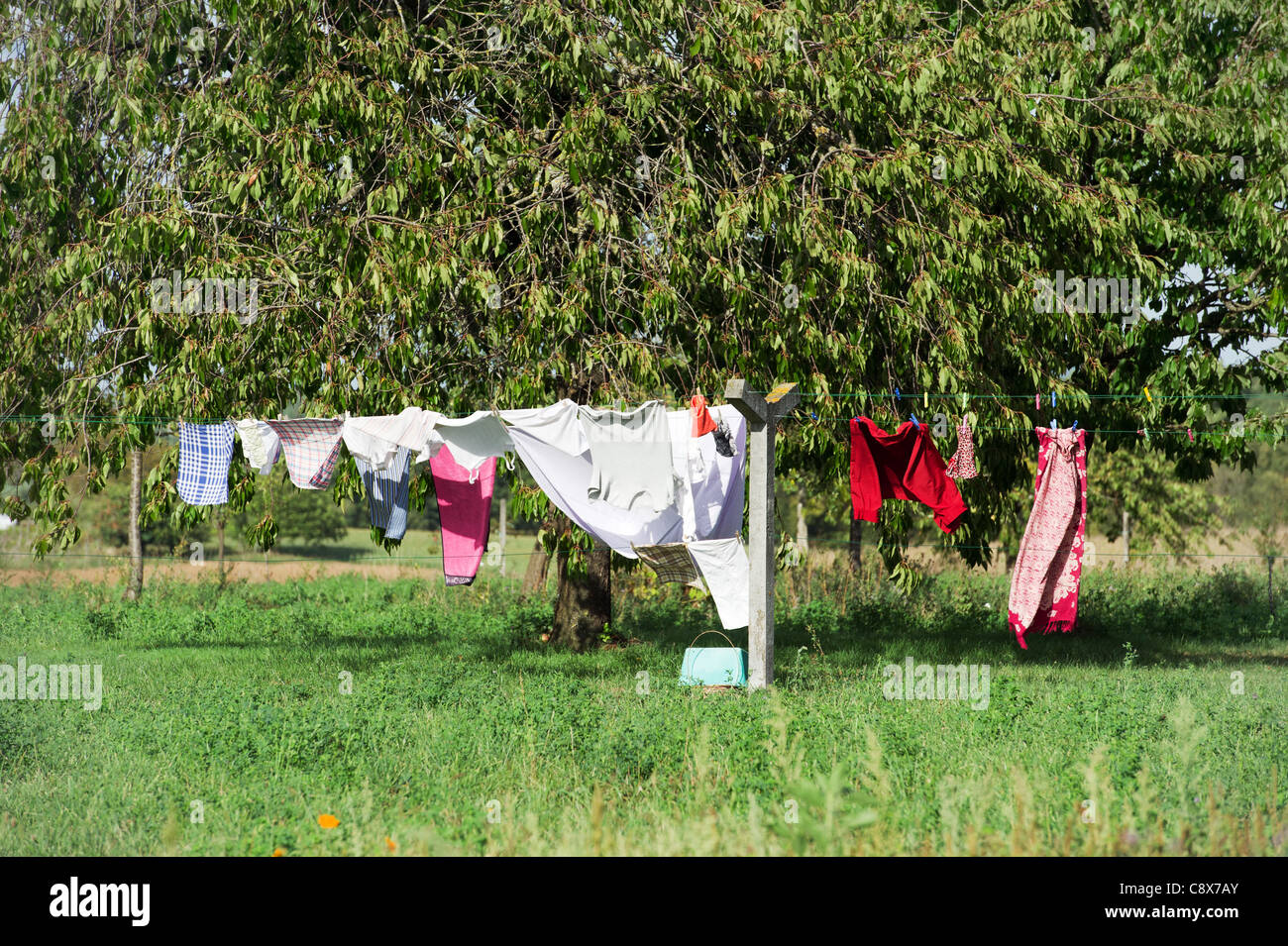 Outdoor hanging laundry in the green garden Stock Photo - Alamy