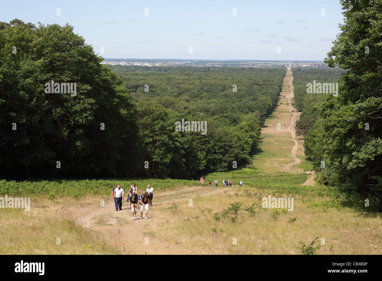The forest of compiegne hi-res stock photography and images - Alamy