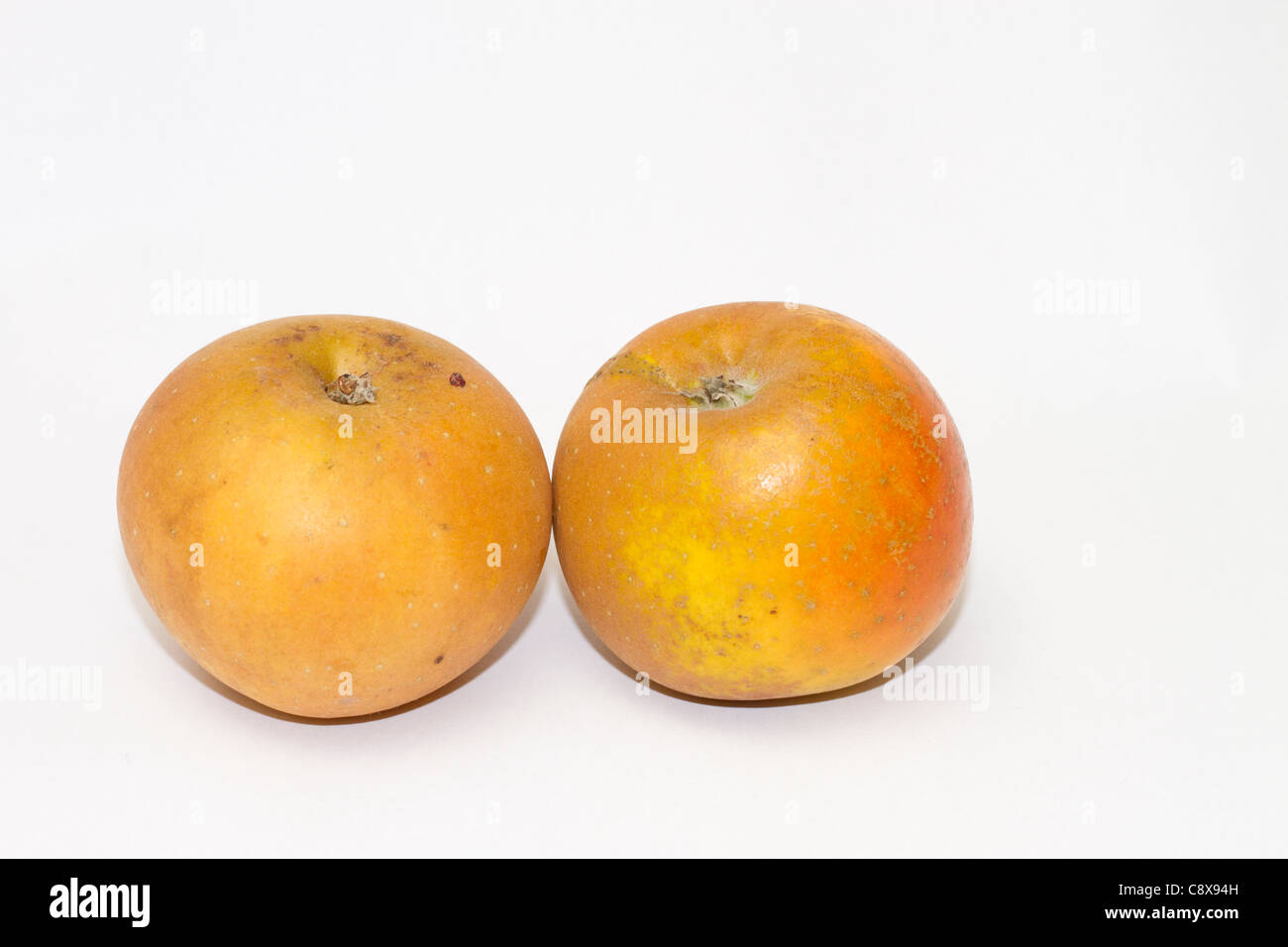 Russett hi-res stock photography and images - Alamy