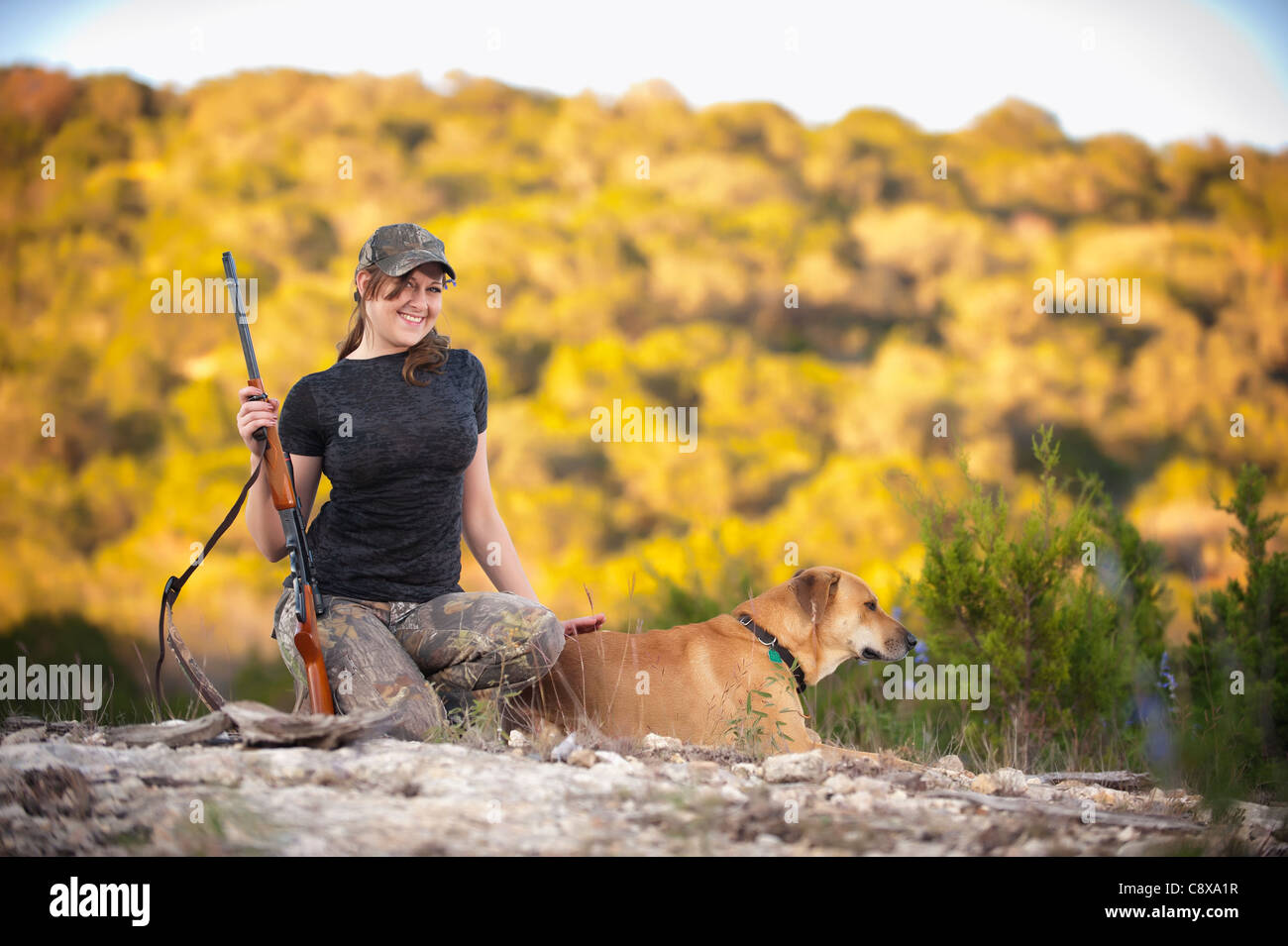Female hunting dog hi-res stock photography and images - Alamy