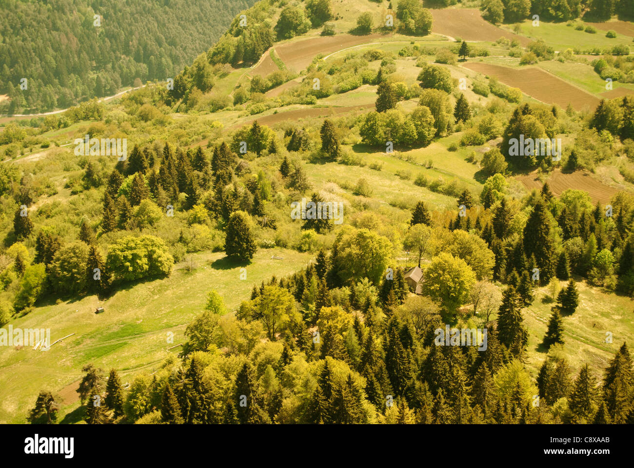 Forest green alpine Stock Photo - Alamy