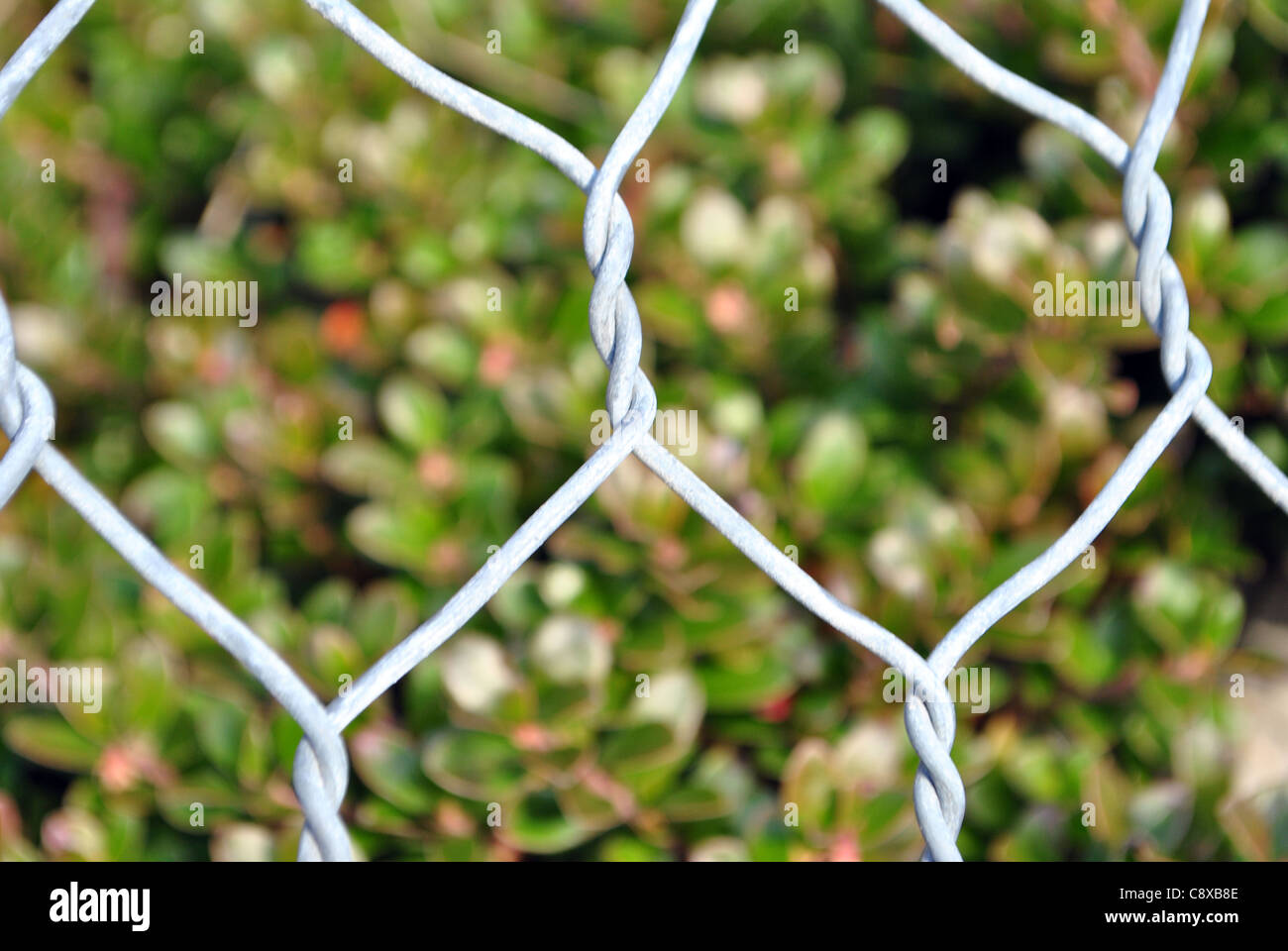 the road protecting net Stock Photo - Alamy