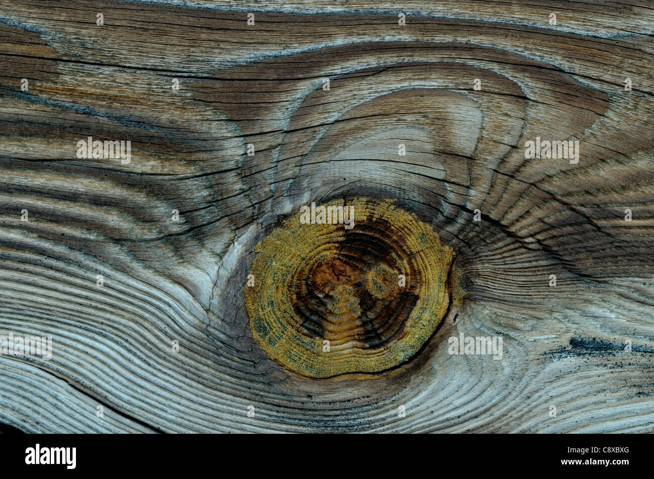 Patterns and shapes appearing on old wood Stock Photo - Alamy