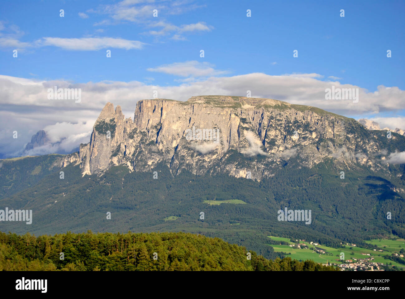 Beautiful green mountain landscape with trees in Renon, Italy, South ...