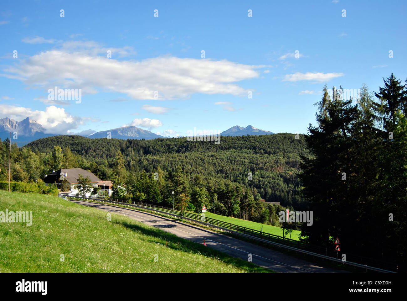 Beautiful green mountain landscape with trees in Renon, Italy, South ...