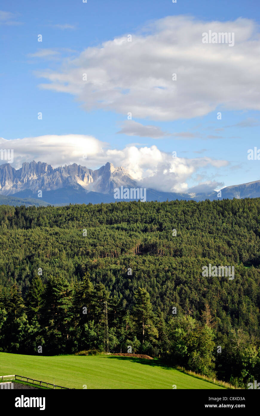 Beautiful green mountain landscape with trees in Renon, Italy, South ...