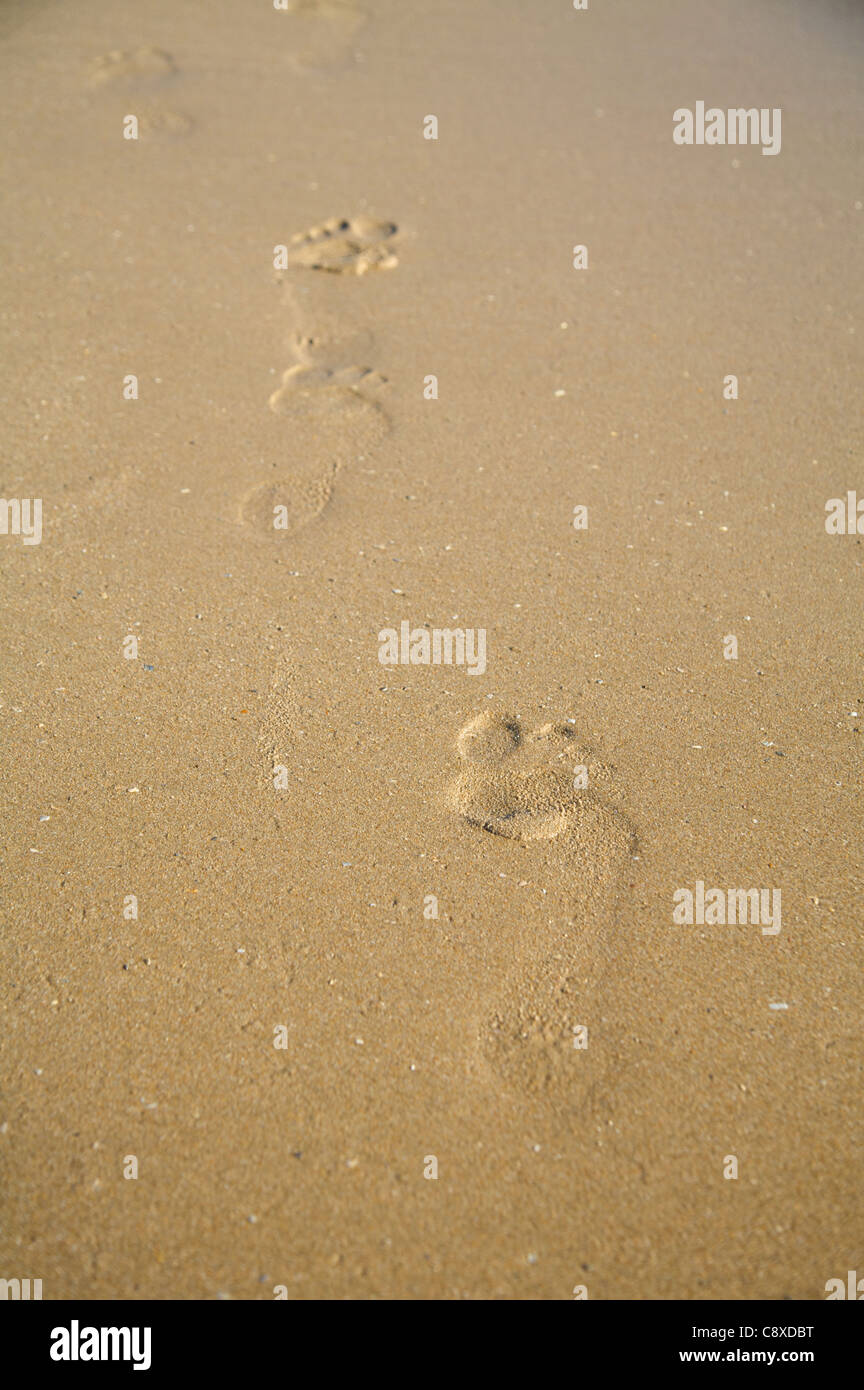 Foot of the spanish steps hi-res stock photography and images - Alamy