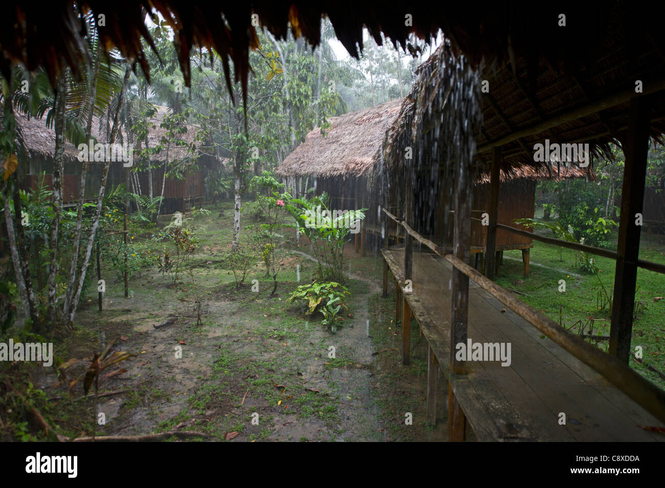 Heavy rain at Exploramo Lodge Iquitos Region Amazon River Peru Stock ...