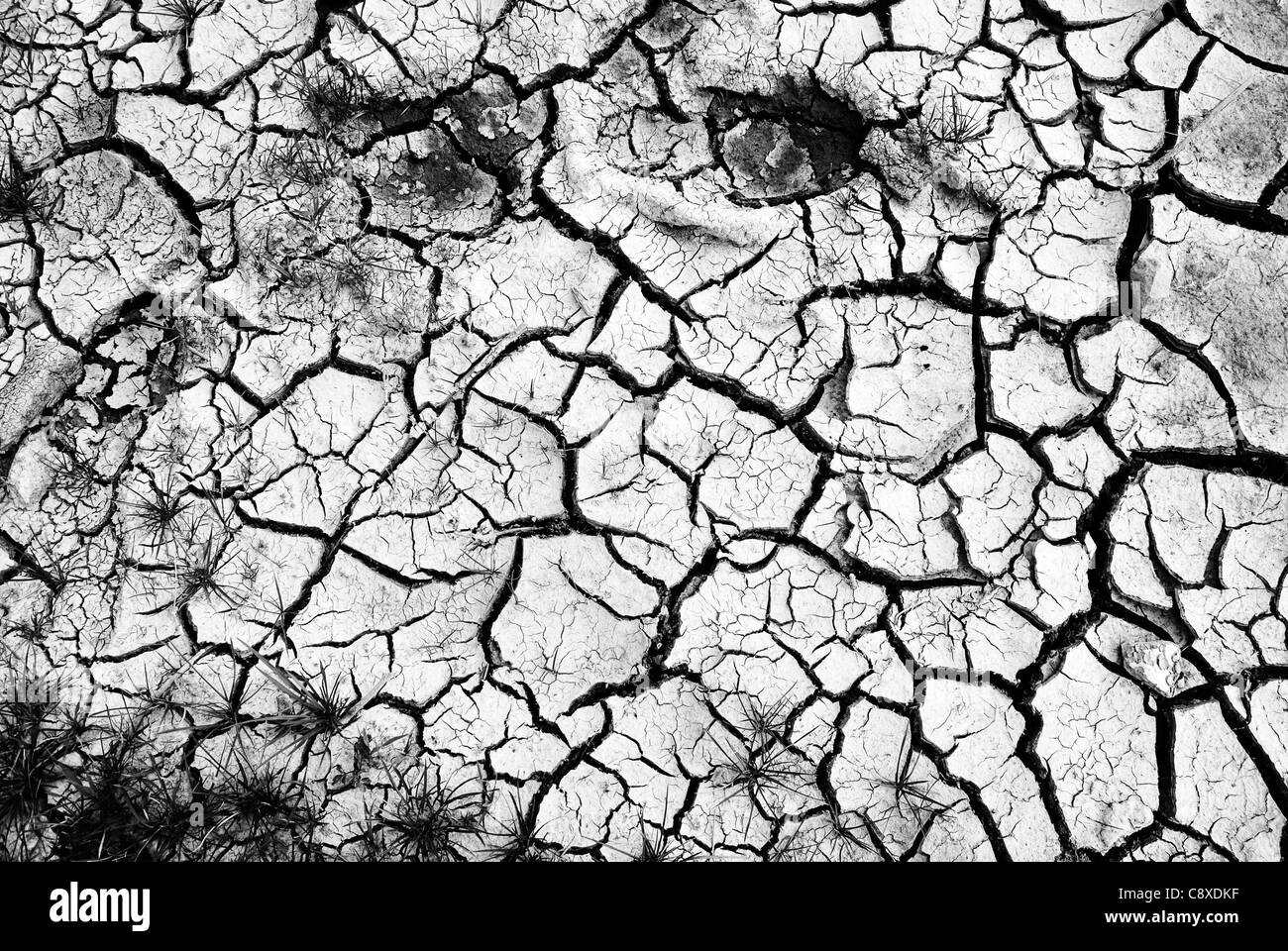 Cracked earth in dry desert Stock Photo - Alamy