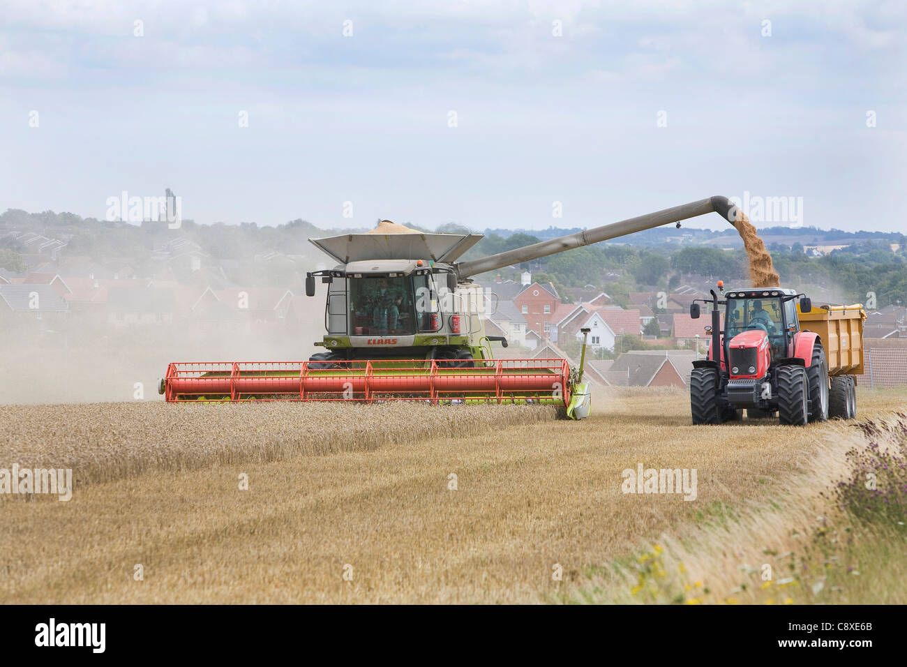 Modern massey ferguson combine hi-res stock photography and images - Alamy