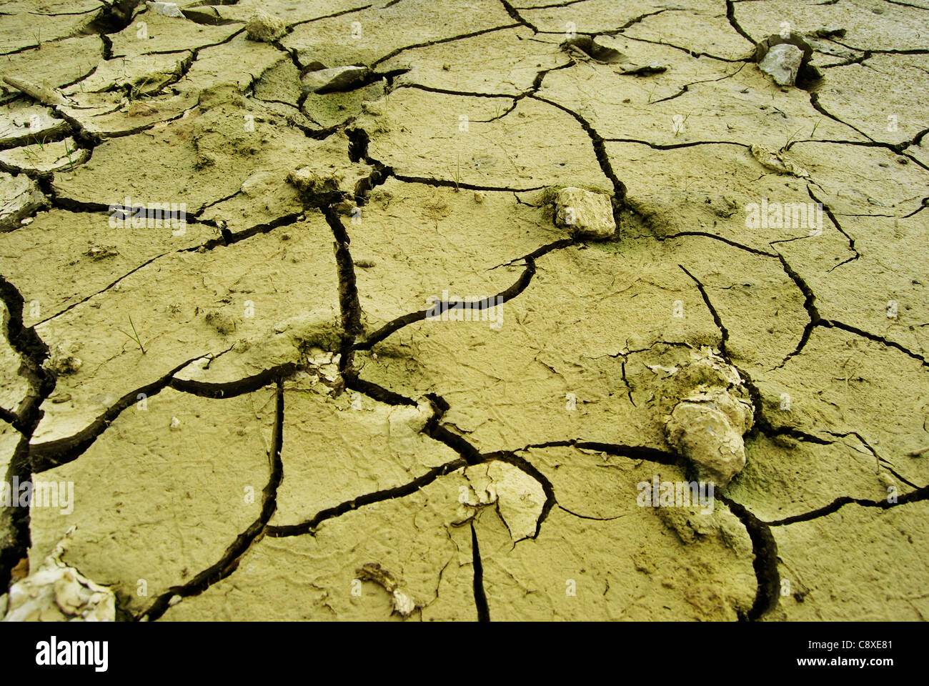 Cracked earth in dry desert Stock Photo - Alamy