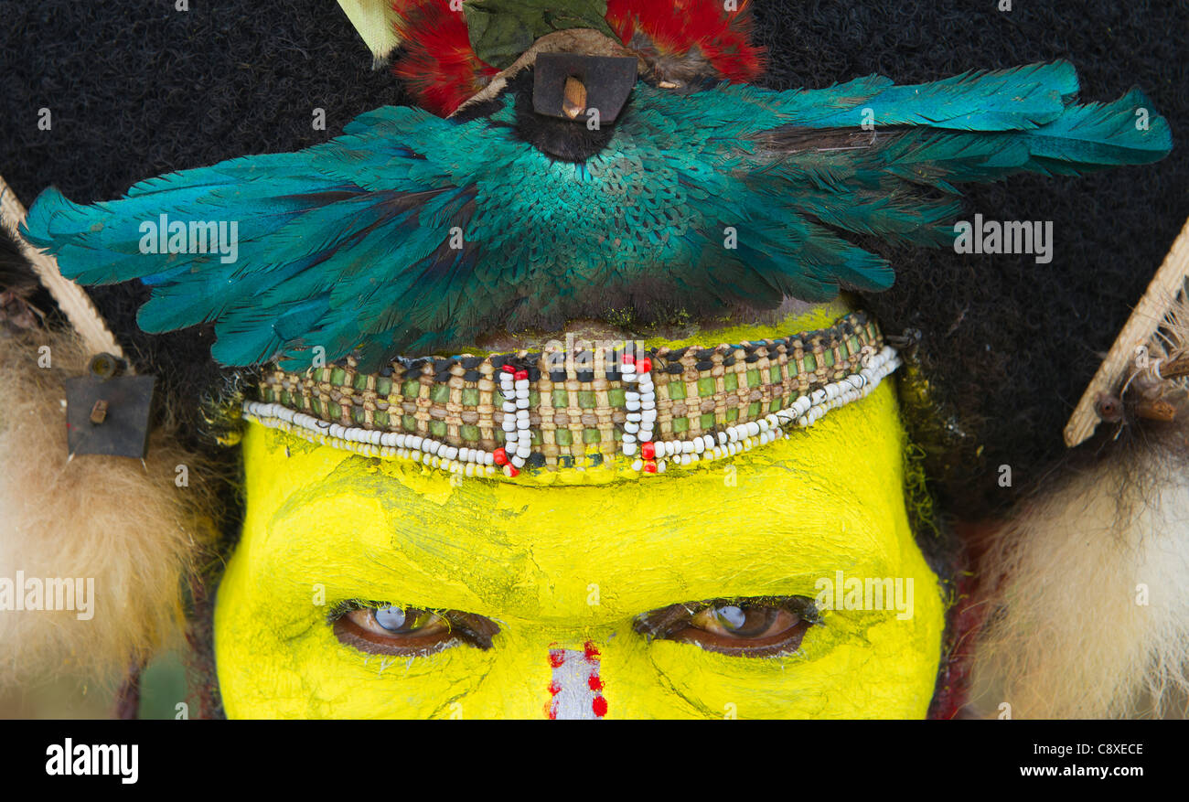 Huli Wigman from Tari Southern Highlands Papua New Guinea Stock Photo ...