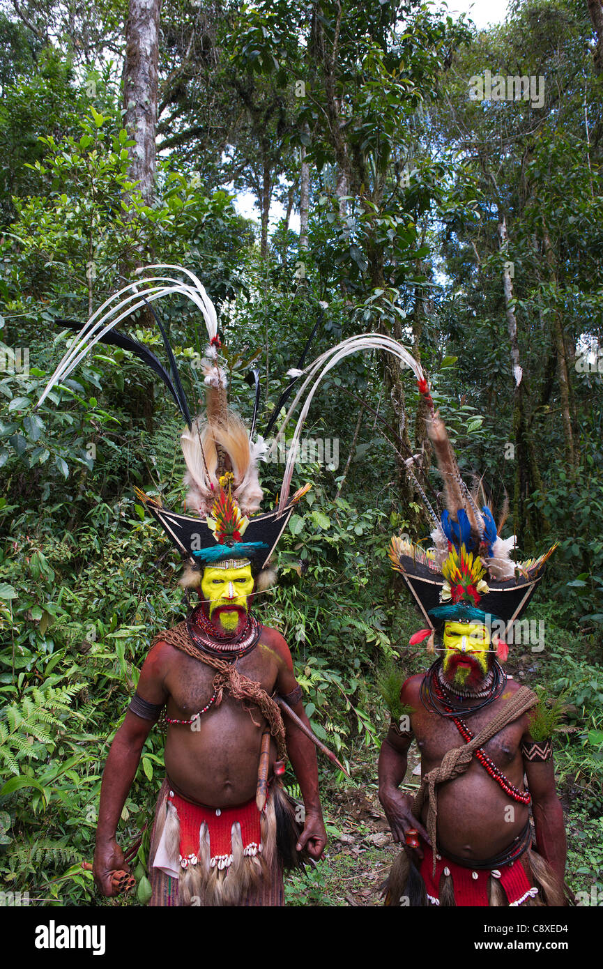 Huli wigmen in Tari Valley Highlands Papua New Guinea Stock Photo - Alamy