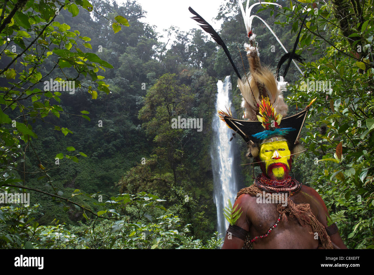 Huli wigmen in Tari Valley Highlands Papua New Guinea Stock Photo - Alamy