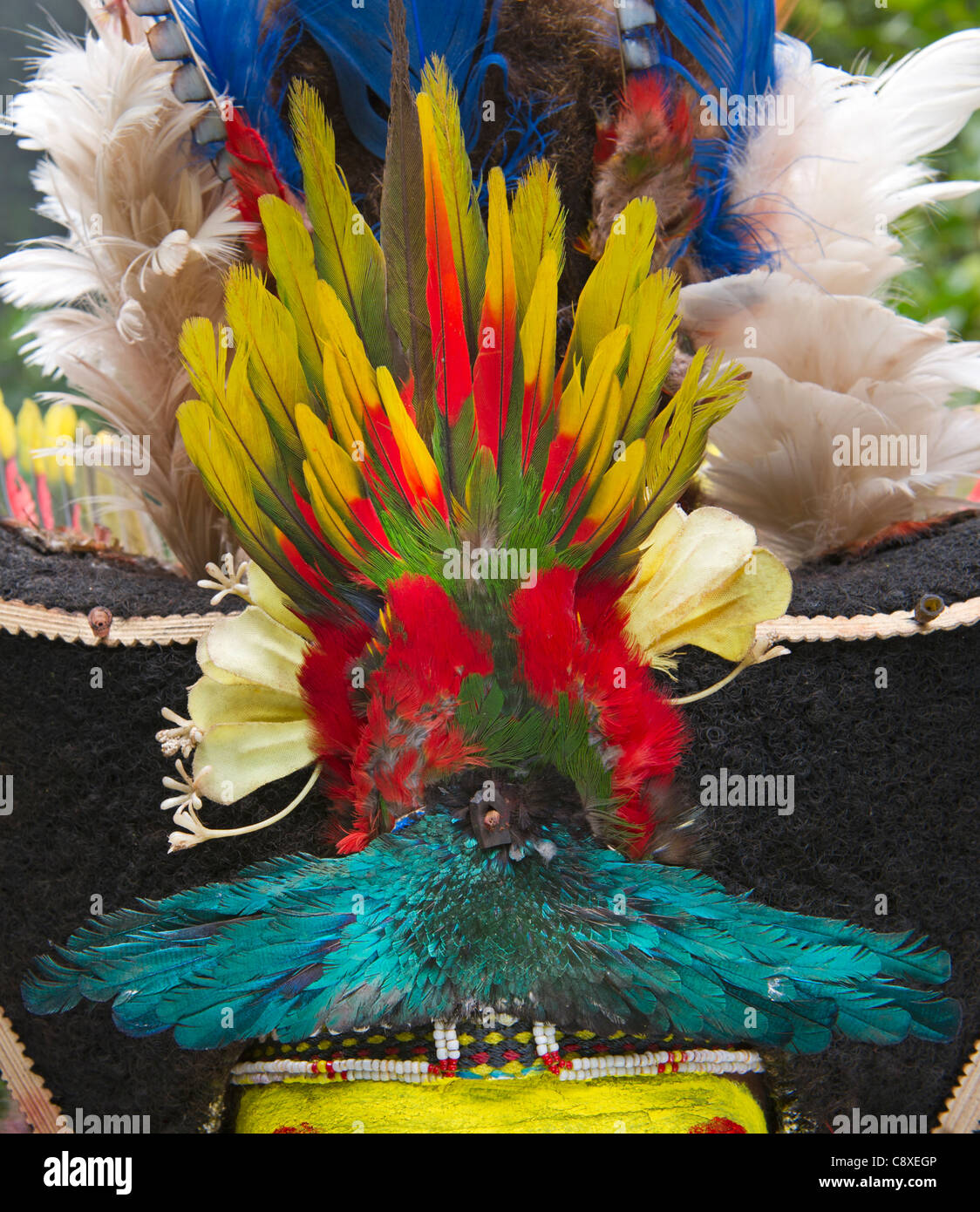 A Huli Wigman's wig from Tari in Southern Highlands Papua New Guinea ...