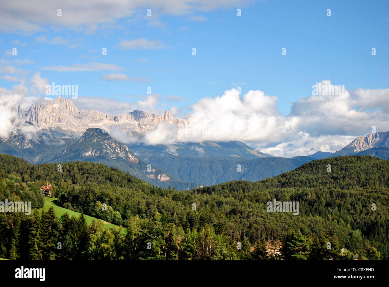 Beautiful green mountain landscape with trees in Renon, Italy, South ...