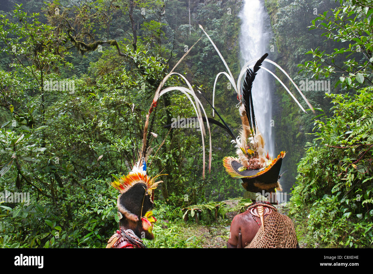Huli wigmen in Tari Valley Highlands Papua New Guinea Stock Photo - Alamy