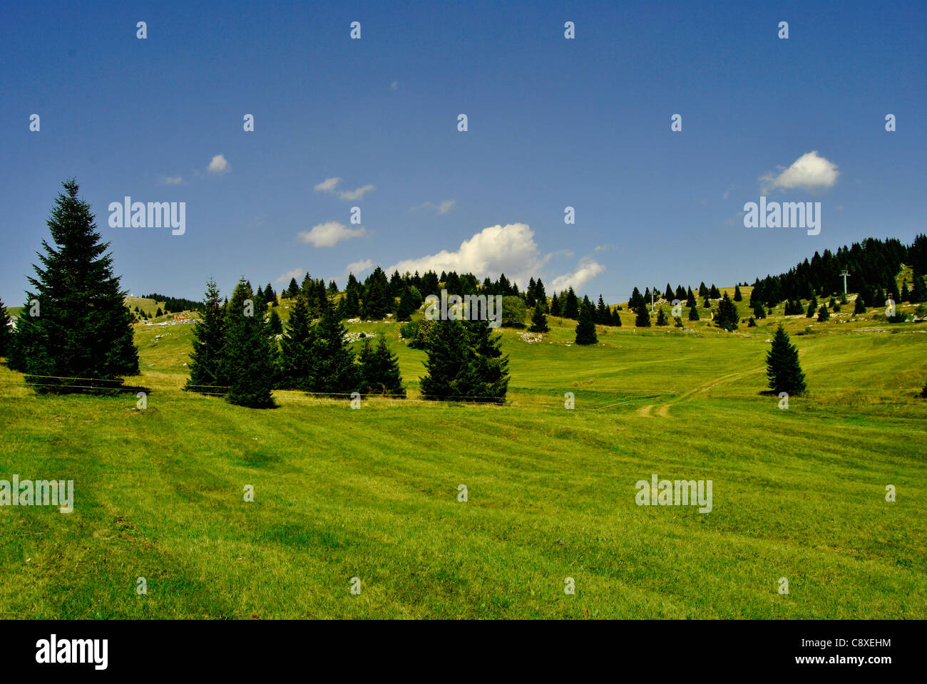 Summer alpine plateau with pastures, valleys and forests, in Trentino ...