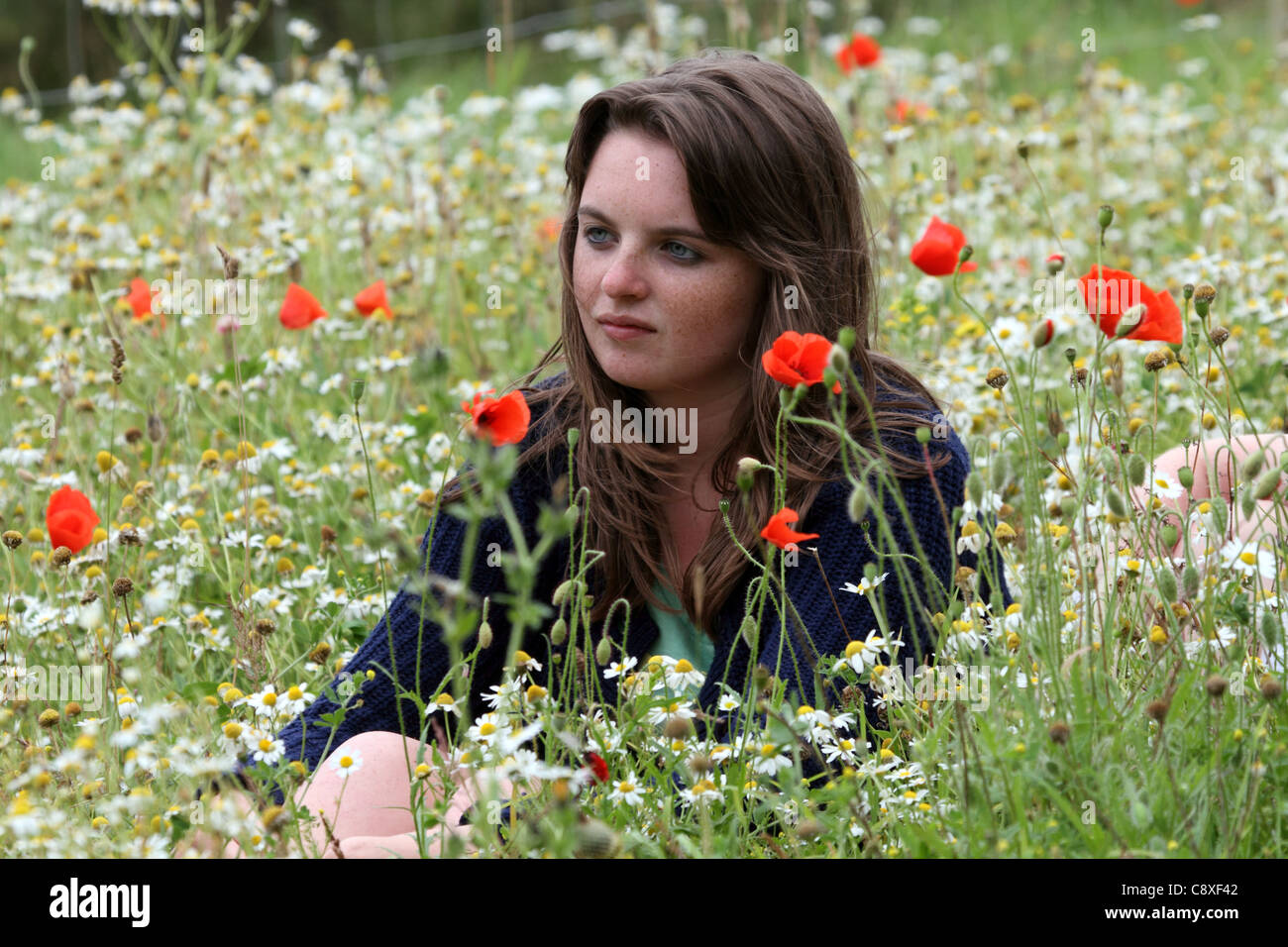 Girl in a meadow; Cornwall; UK Stock Photo - Alamy