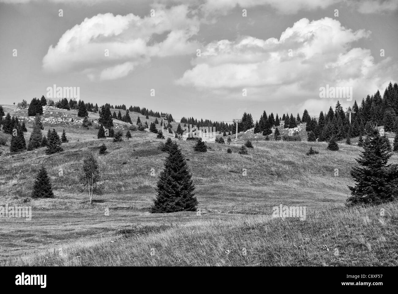 Summer alpine plateau with pastures, valleys and forests, in Trentino ...
