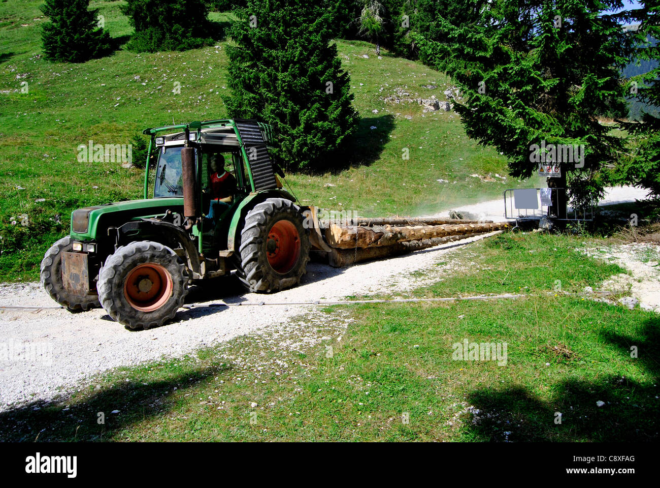 Log hydraulic manipulator hi-res stock photography and images - Alamy