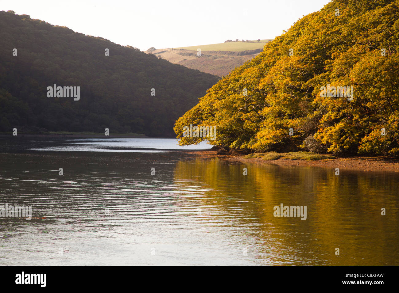 Looe River; Looe; Cornwall; UK Stock Photo - Alamy
