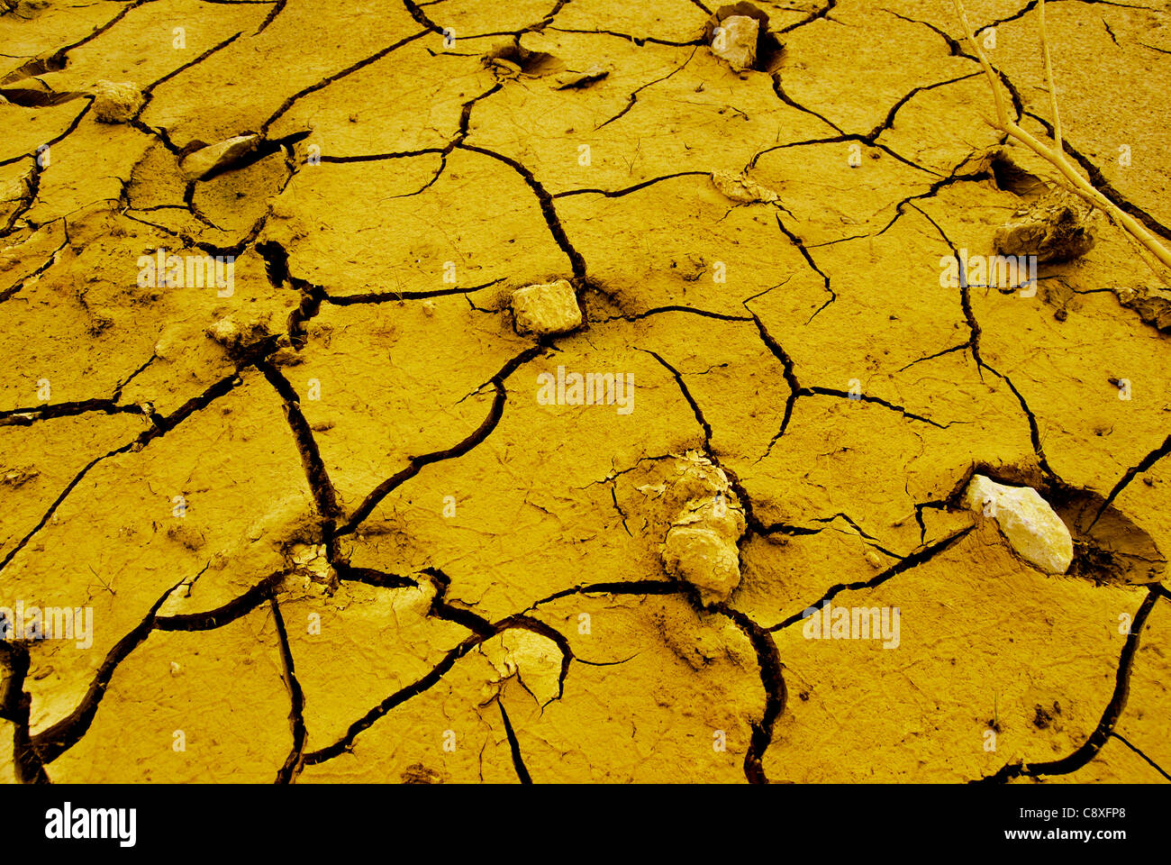 Cracked earth in dry desert Stock Photo - Alamy