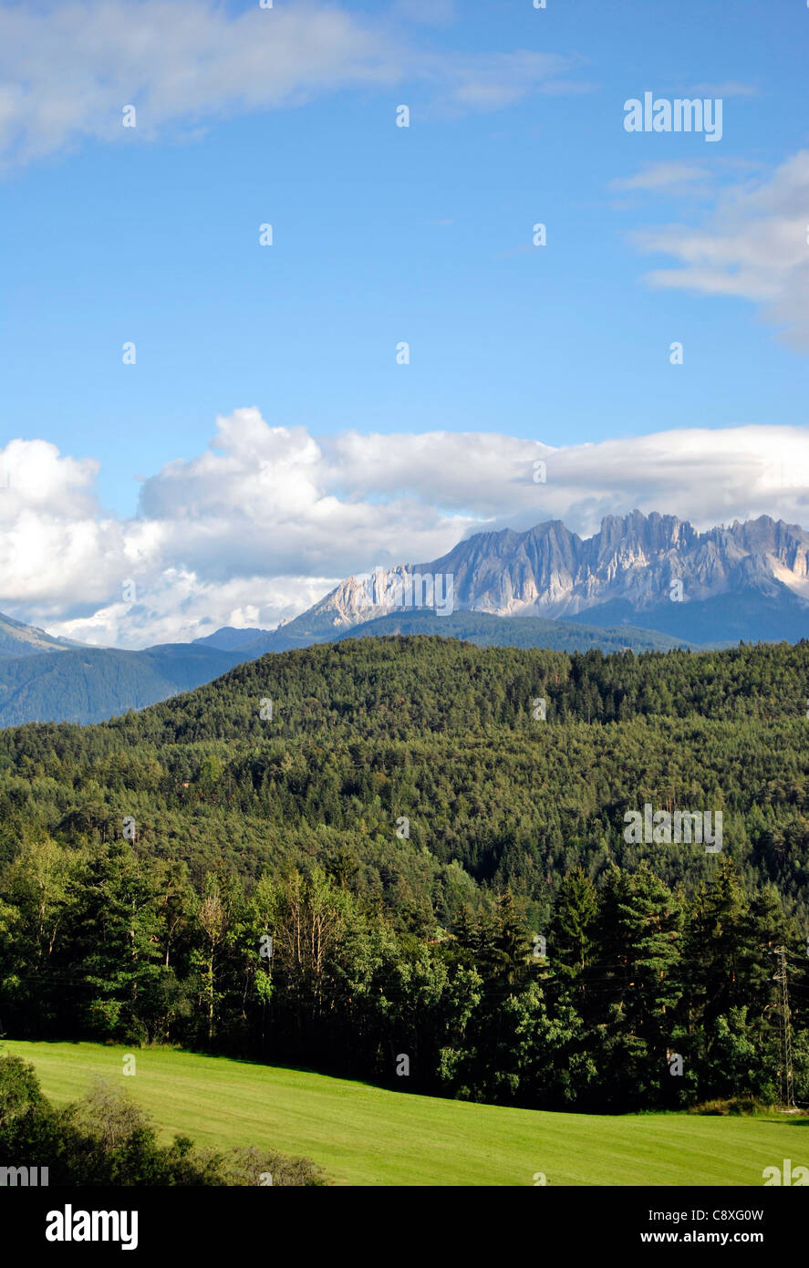 Beautiful green mountain landscape with trees in Renon, Italy, South ...
