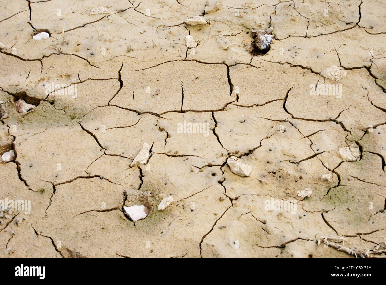 Cracked earth in dry desert Stock Photo - Alamy
