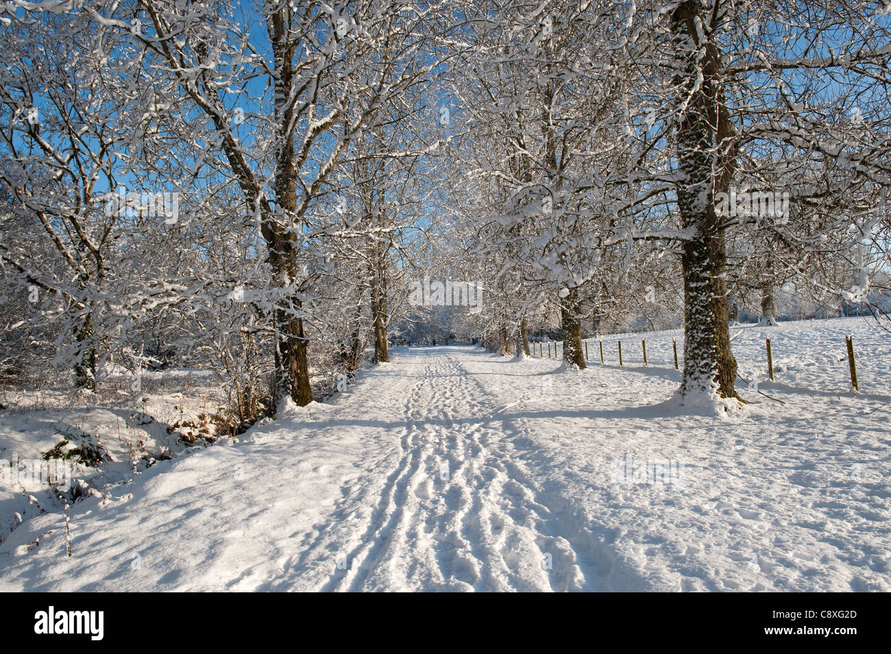 Outdoors at day with walk way in winter hi-res stock photography and ...