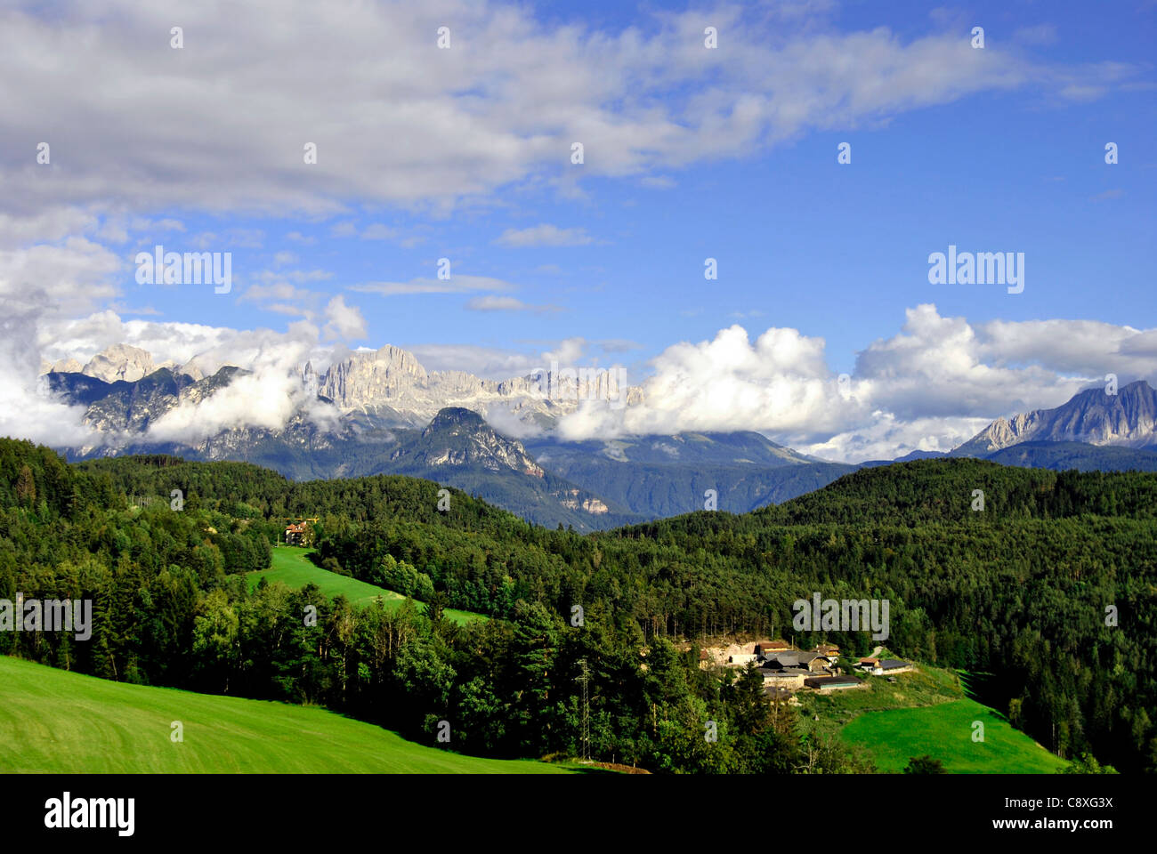 Beautiful green mountain landscape with trees in Renon, Italy, South ...