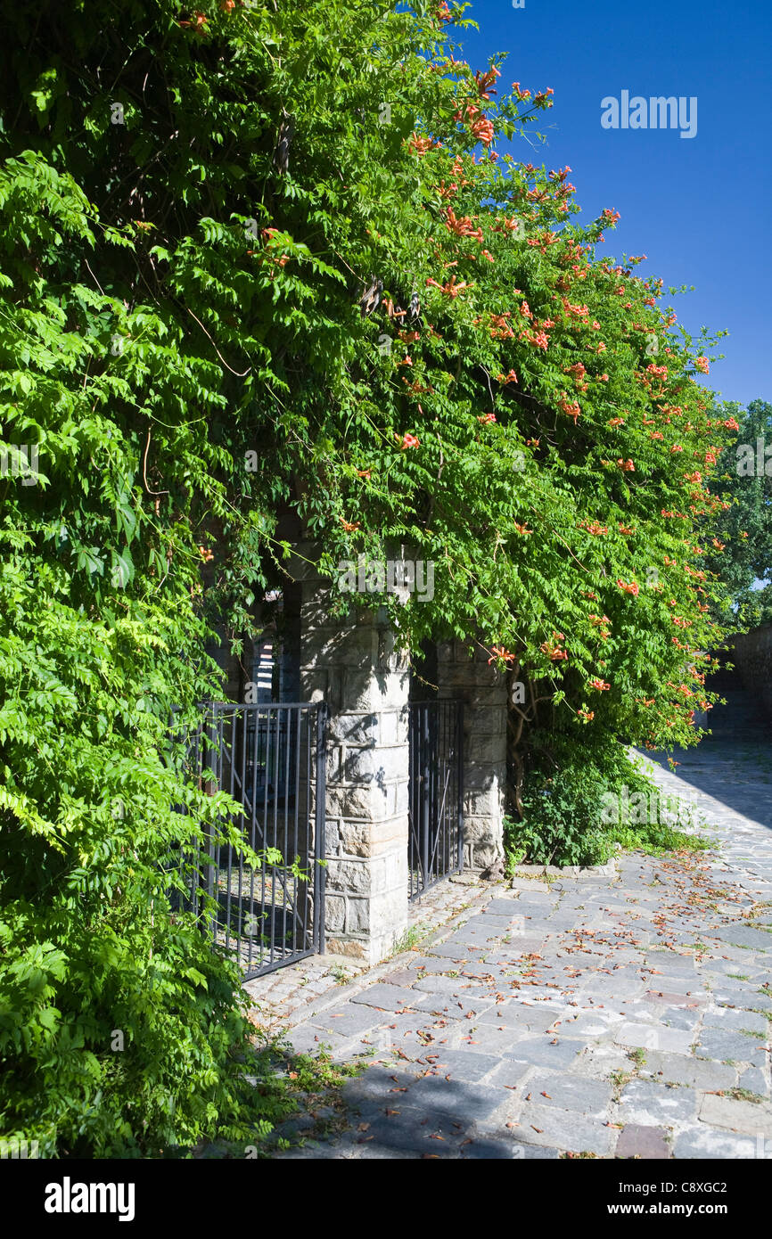 Hissarya High Resolution Stock Photography and Images - Alamy