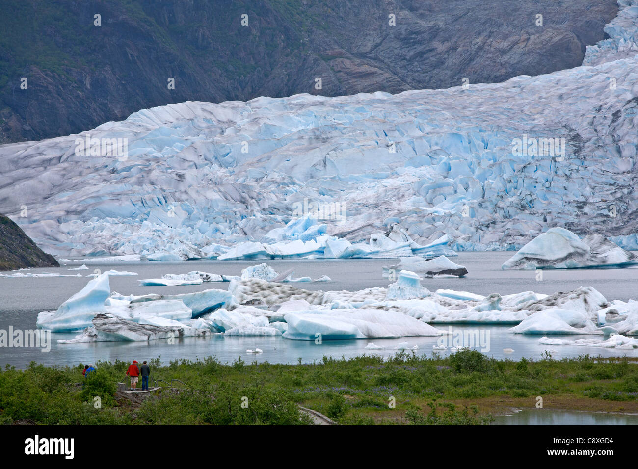 Alaska iceberg mendenhall glacier hi-res stock photography and images ...