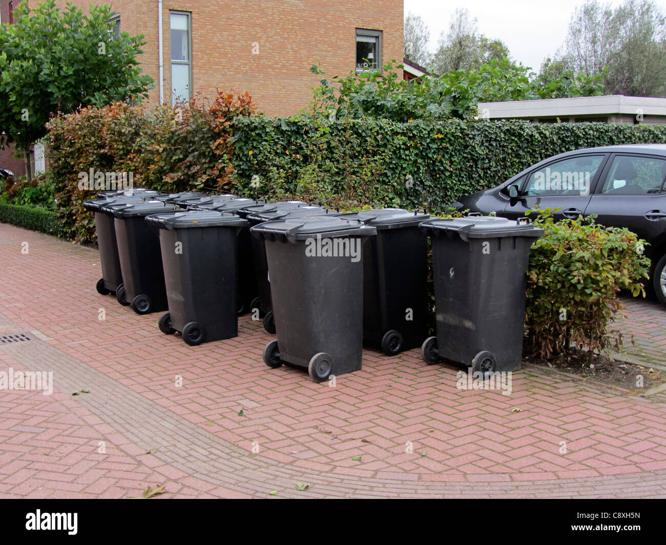 Wheelie bins, ready to be emptied, Alblasserdam, Holland Stock Photo ...