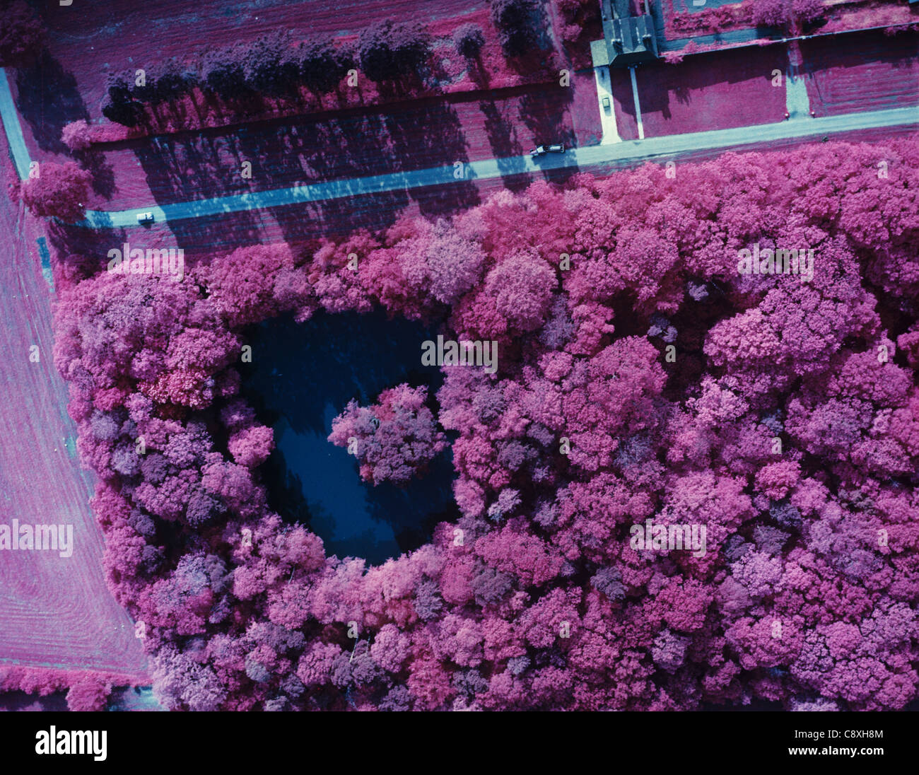 False colour infrared hi-res stock photography and images - Alamy