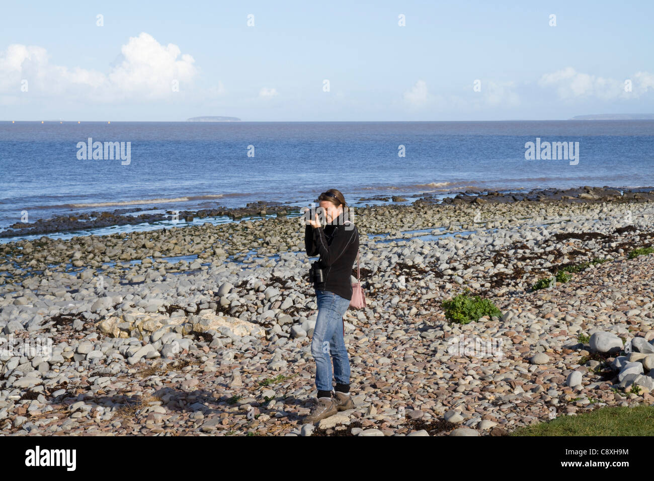 A photographer stands on Kilve Beach in Somerset, capturing images of ...